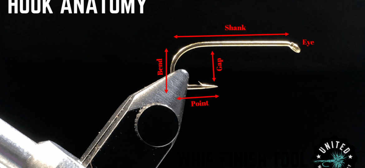 Education Archives - United Women on the Fly