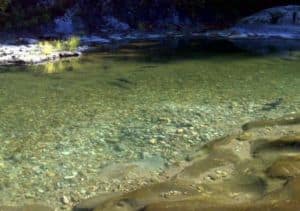 Fish Spawning Bed Identification - United Women on the Fly