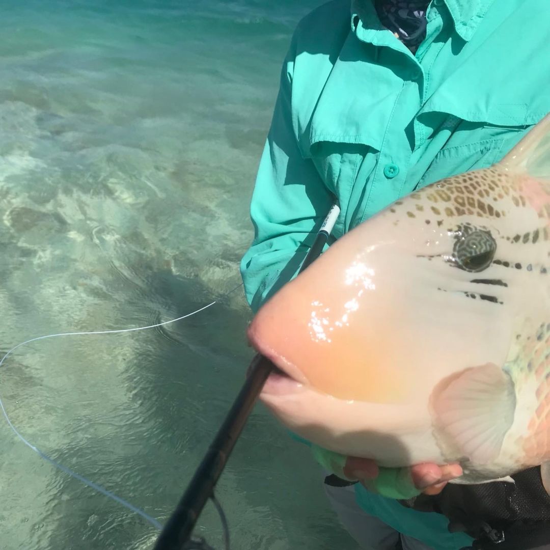 Saltwater Fly Fishing Equipment - United Women on the Fly