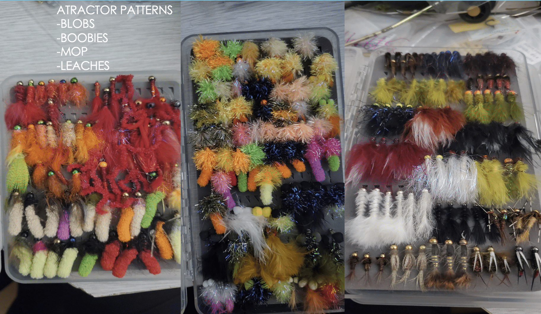 Lake Fishing Entomology and Fly Overview - United Women on the Fly